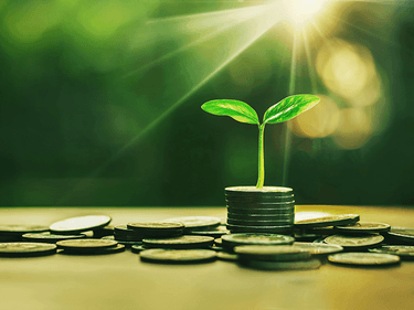 A Guide to Green Loans | ClearScore NZ