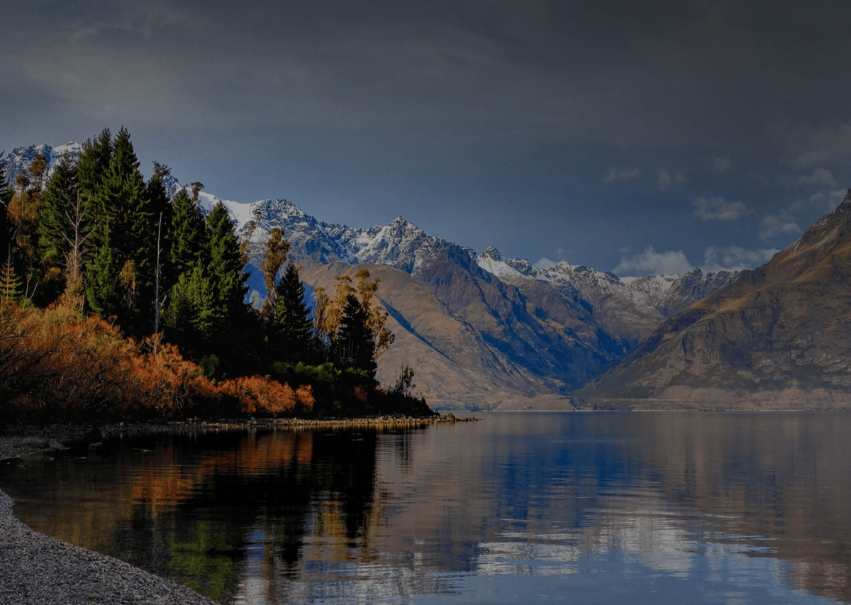 Check Your Free Credit Score & Credit Report - ClearScore, NZ