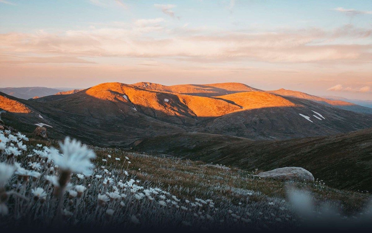 ClearScore | Credit Score & Report